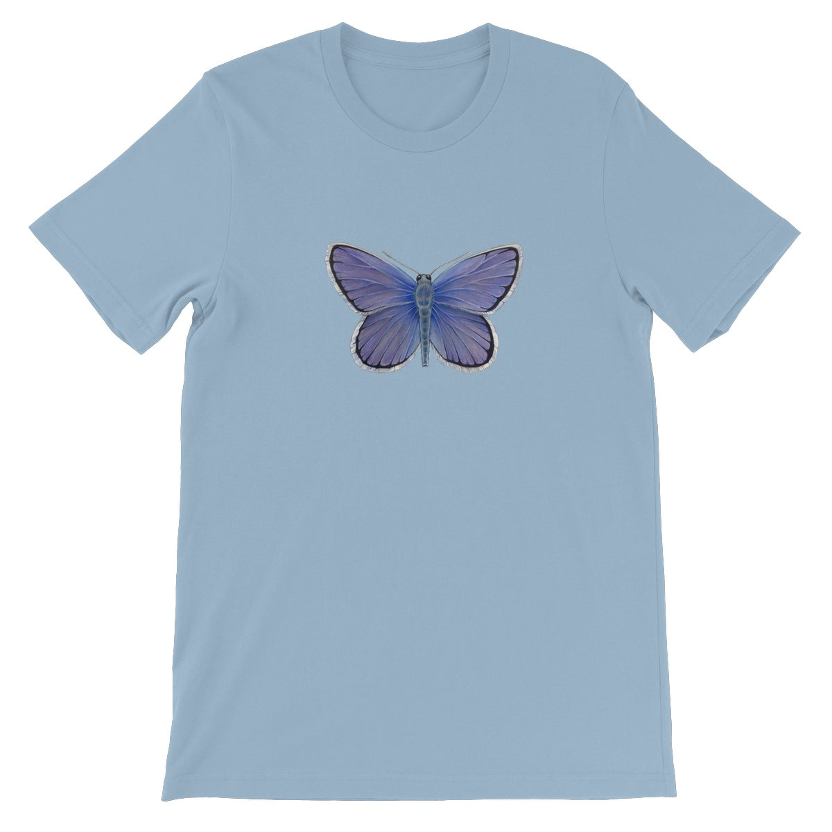 Karner Blue Butterfly illustration by Tamara Clark, Eden Art – Tamara L ...
