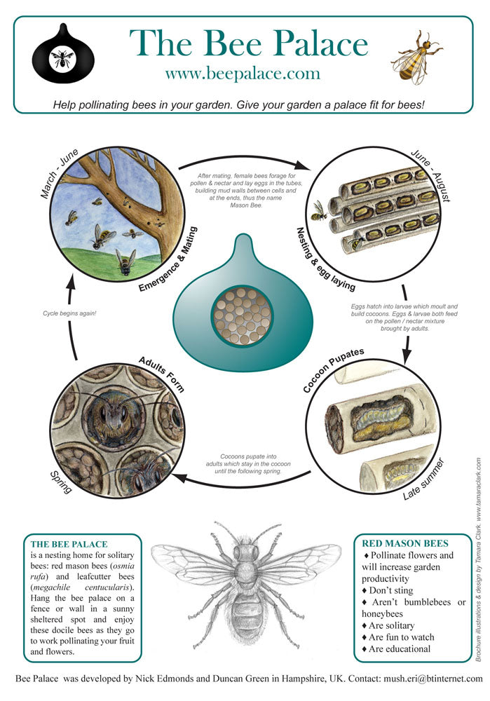Bee Palace brochure – Tamara L Clark