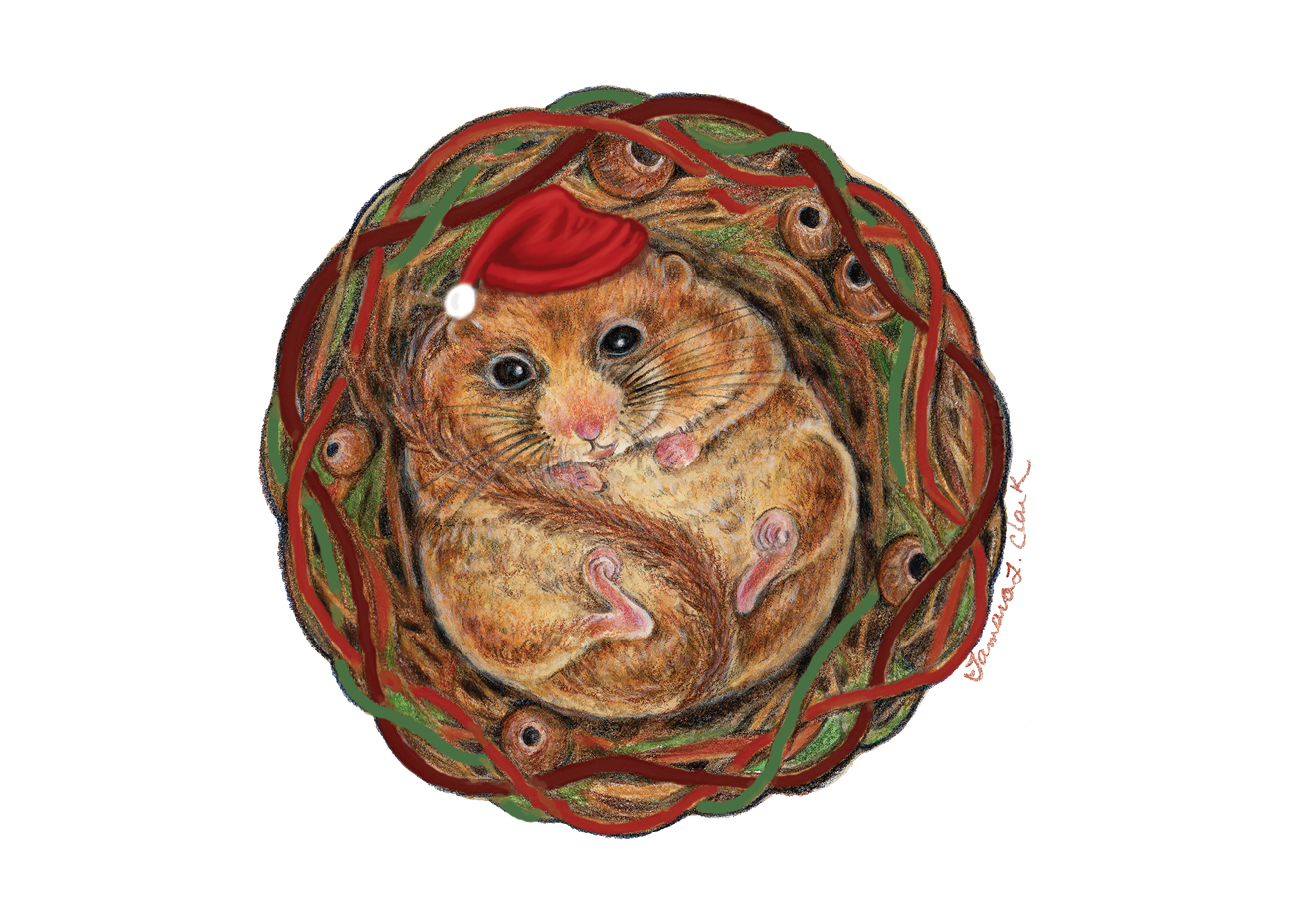 dormouse_holiday_tclark.png?v=1652181192